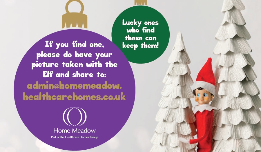 Home Meadow launches community search for lost elves! | Healthcare Homes
