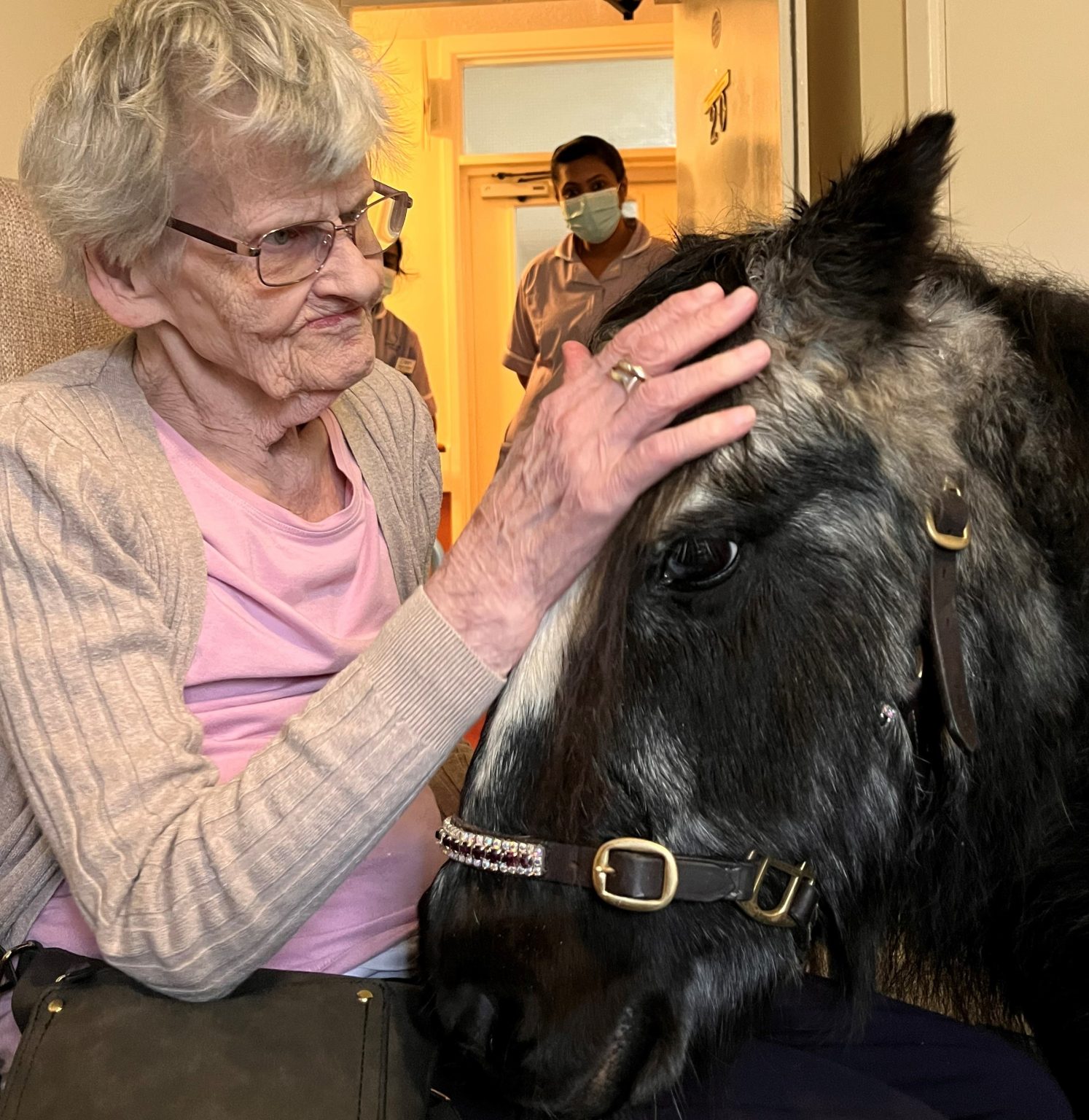 Dinky Ponies visit enjoyed by all at Ladymead care home | Healthcare Homes