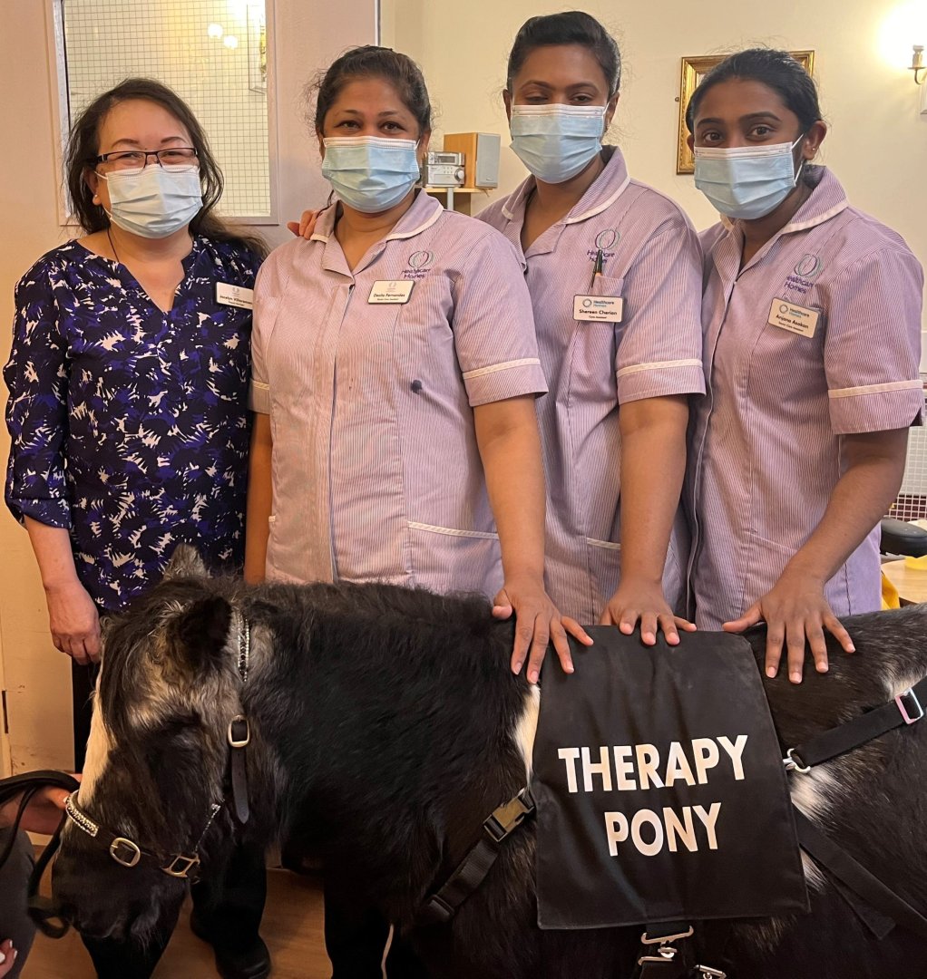 Dinky Ponies visit enjoyed by all at Ladymead care home | Healthcare Homes