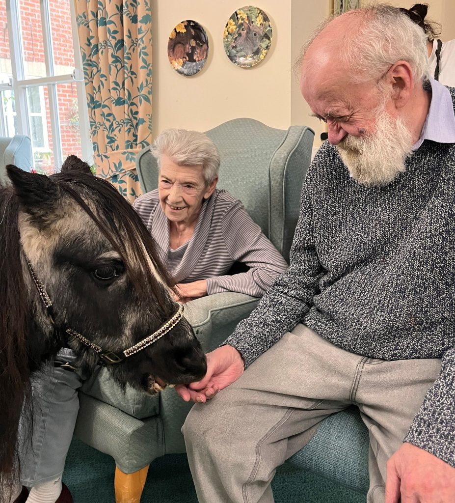 Dinky Ponies visit enjoyed by all at Ladymead care home | Healthcare Homes