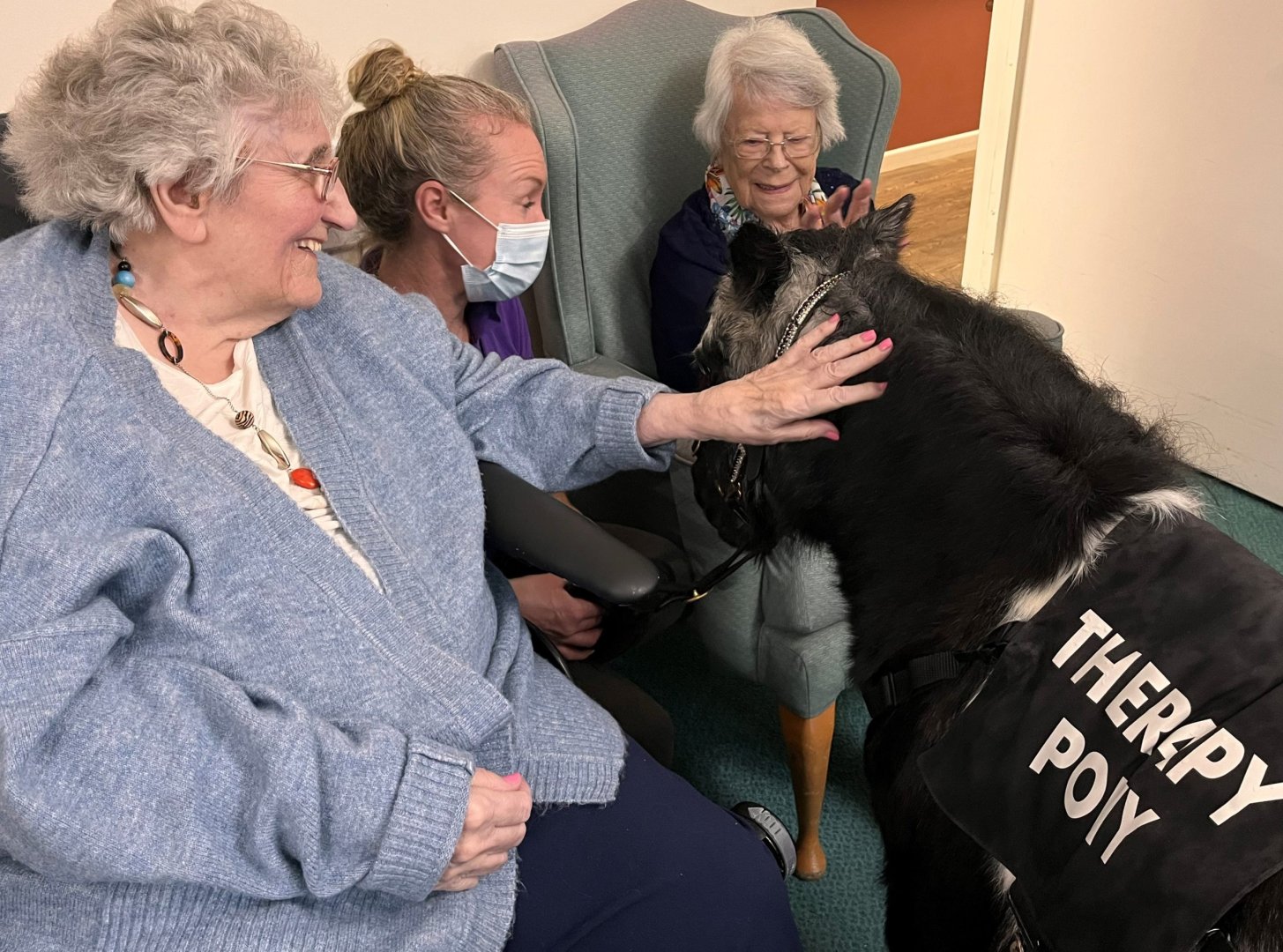 Dinky Ponies visit enjoyed by all at Ladymead care home | Healthcare Homes