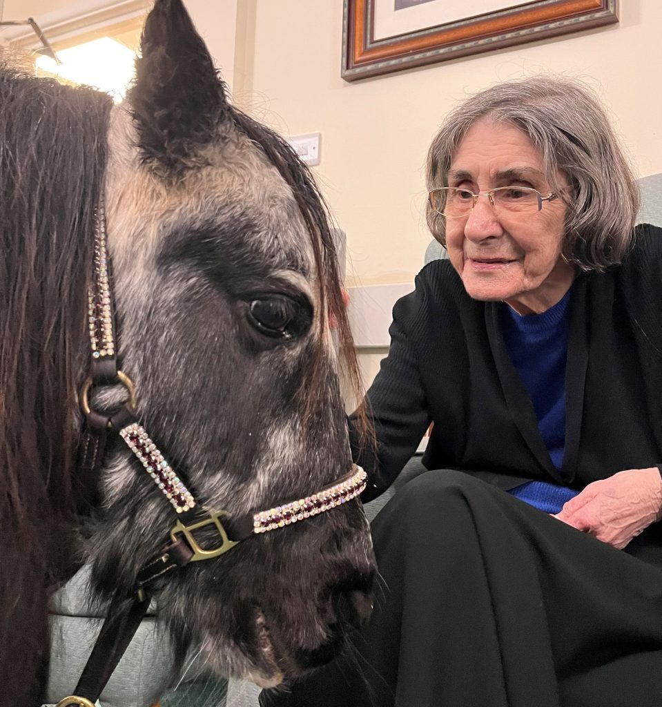 Dinky Ponies visit enjoyed by all at Ladymead care home | Healthcare Homes