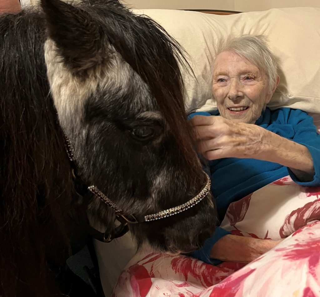 Dinky Ponies visit enjoyed by all at Ladymead care home | Healthcare Homes
